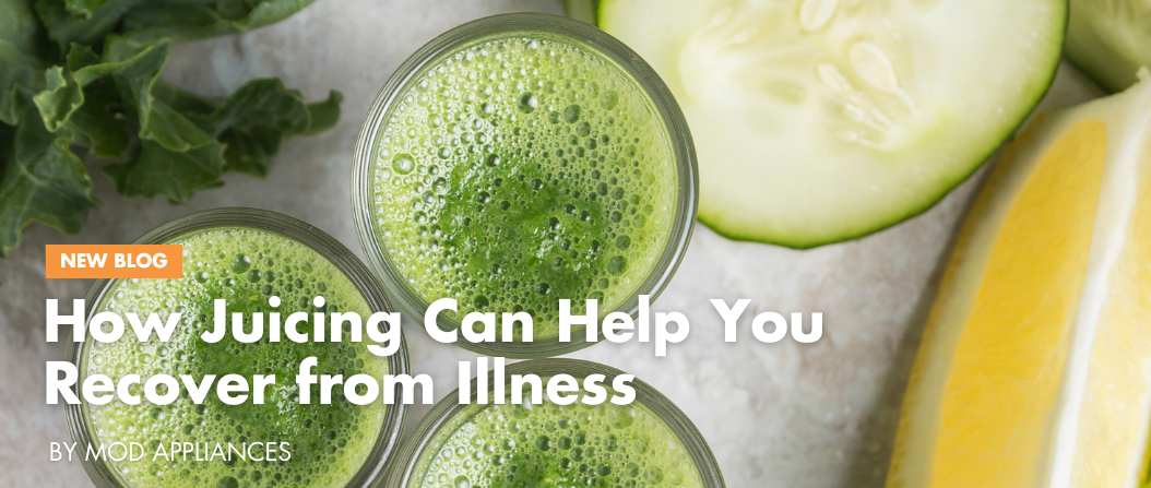 How Juicing Can Help You Recover from Illness – MOD Appliances